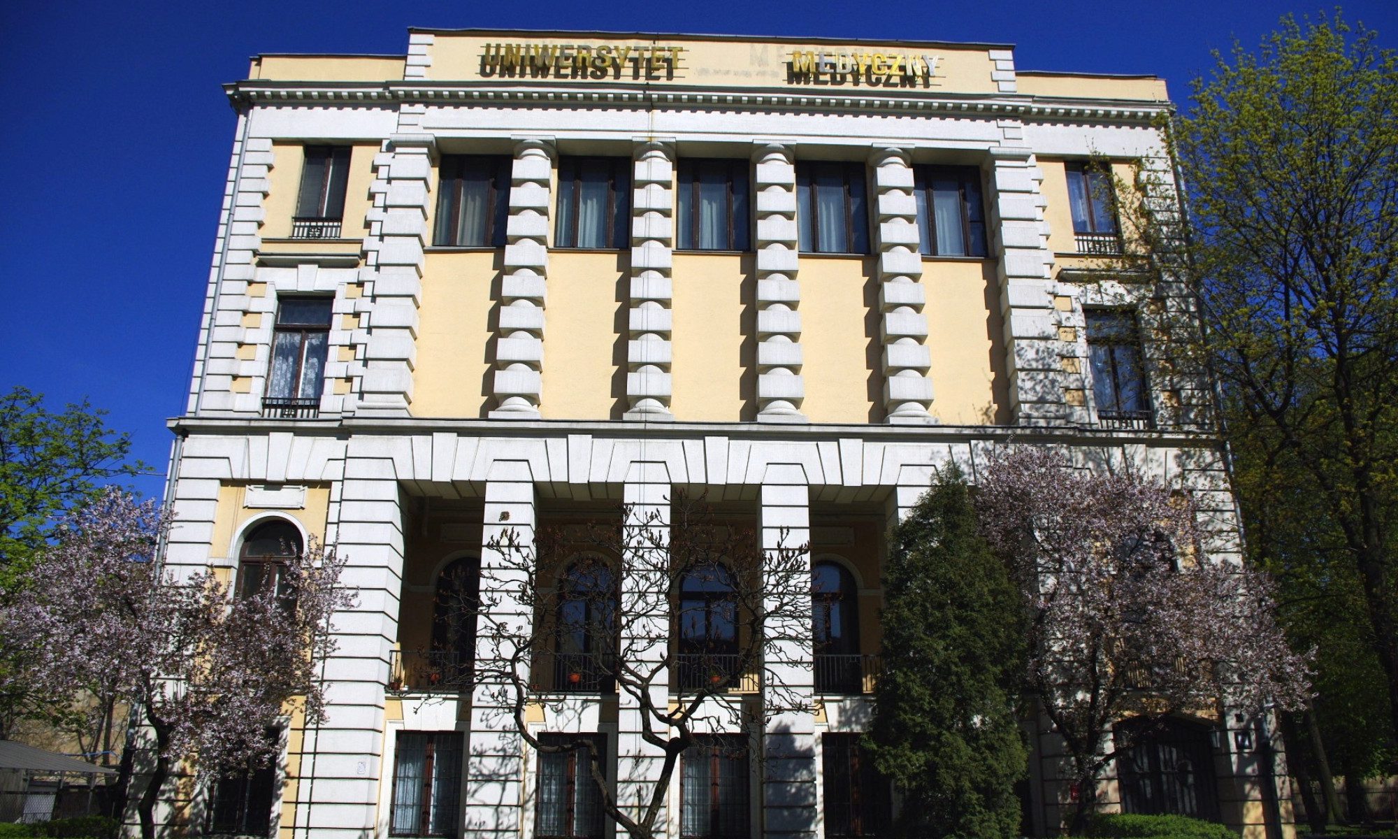 Uniwersytet Medyczny w Łodzi - opis uczelni