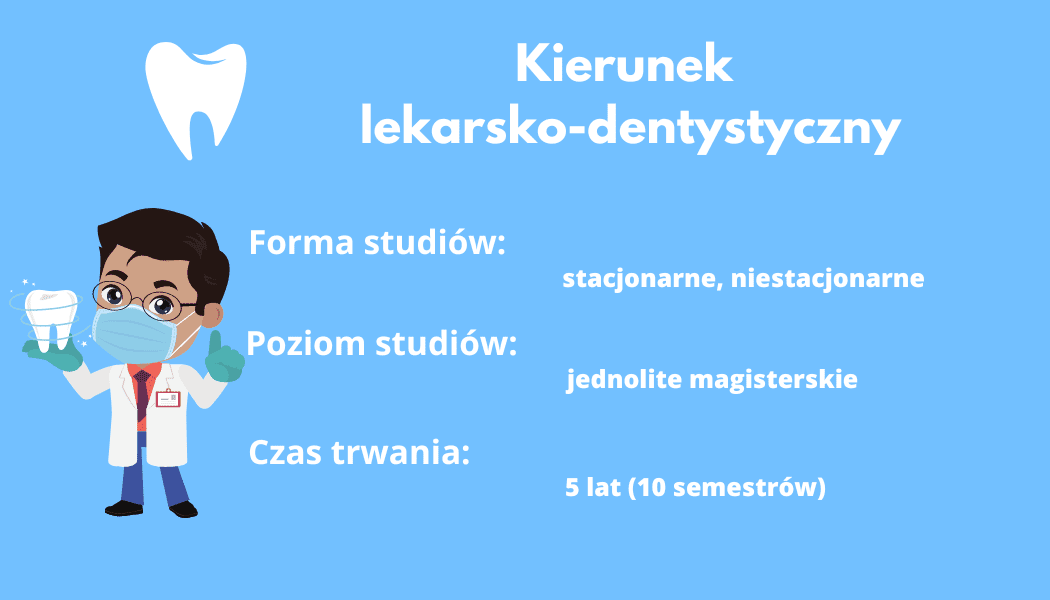 Studia lekarsko-dentystyczne - opis kierunku z namedycyne.pl